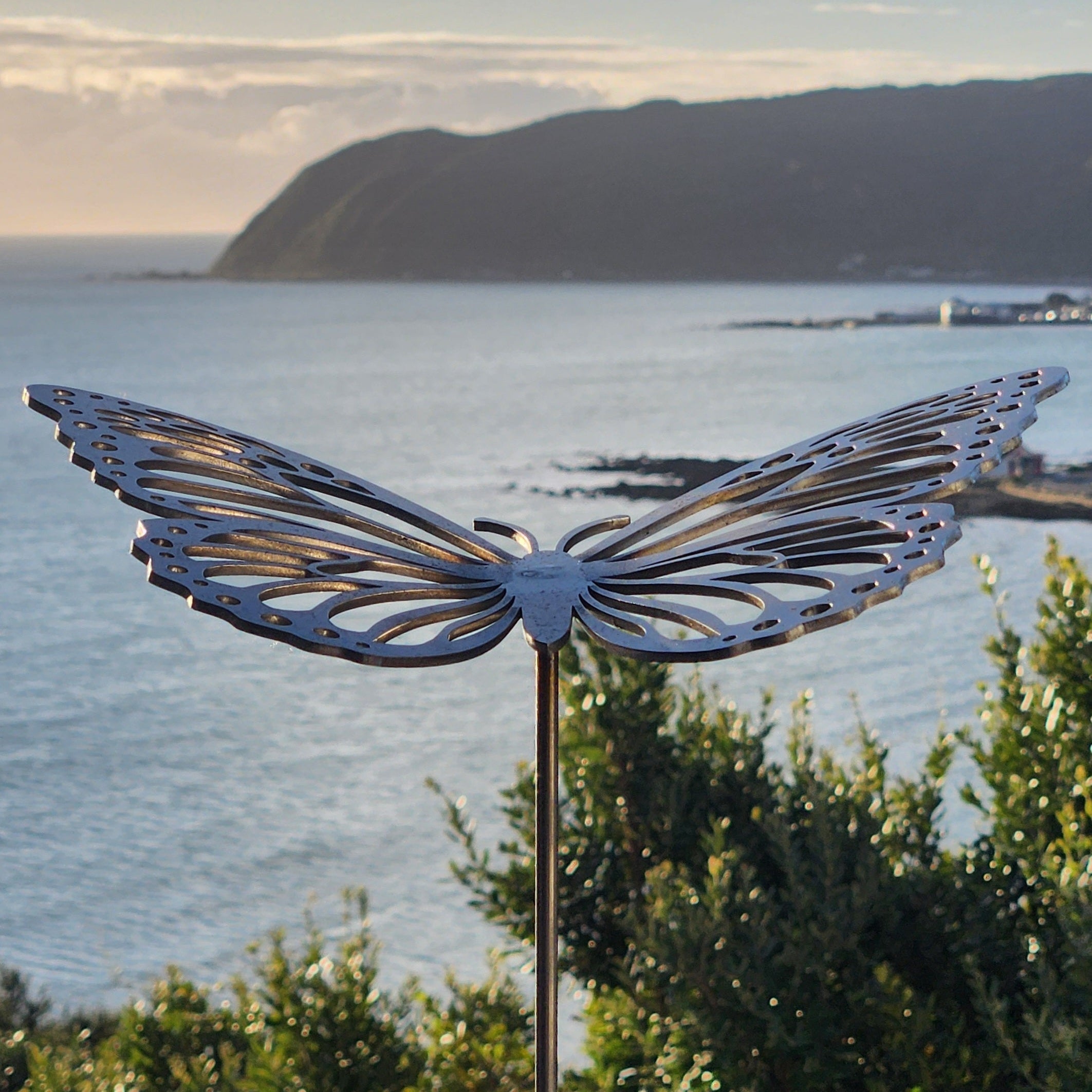 25cm Butterfly – Goat Point LTD